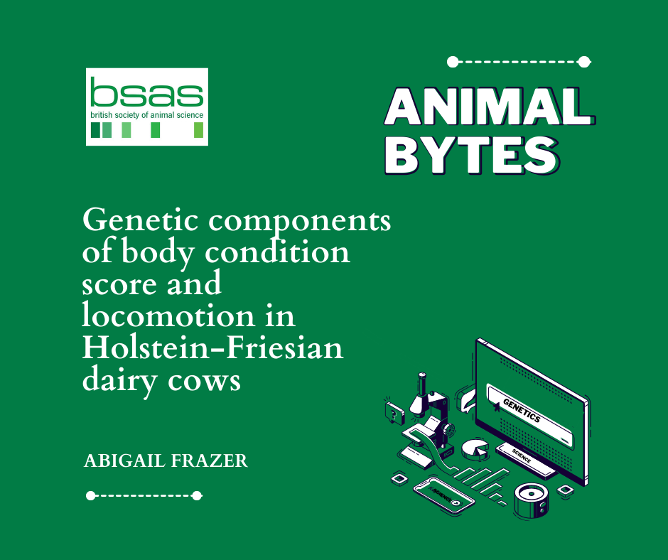 Genetic components of body condition score and locomotion in Holstein ...